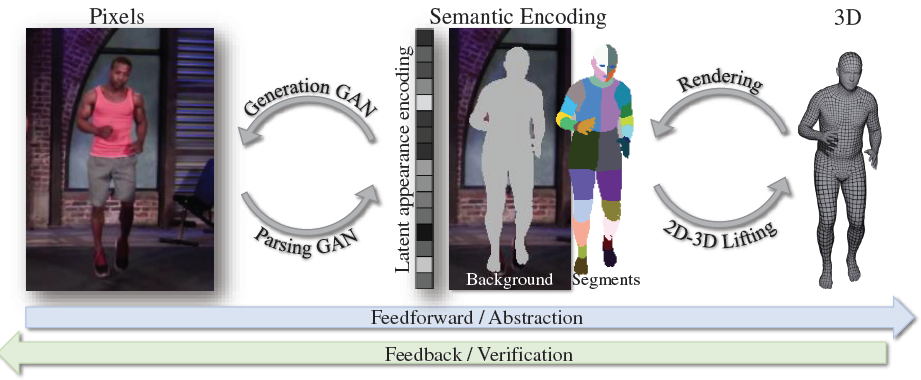 Chained Representation Cycling: Learning to Estimate 3D Human Pose and ...